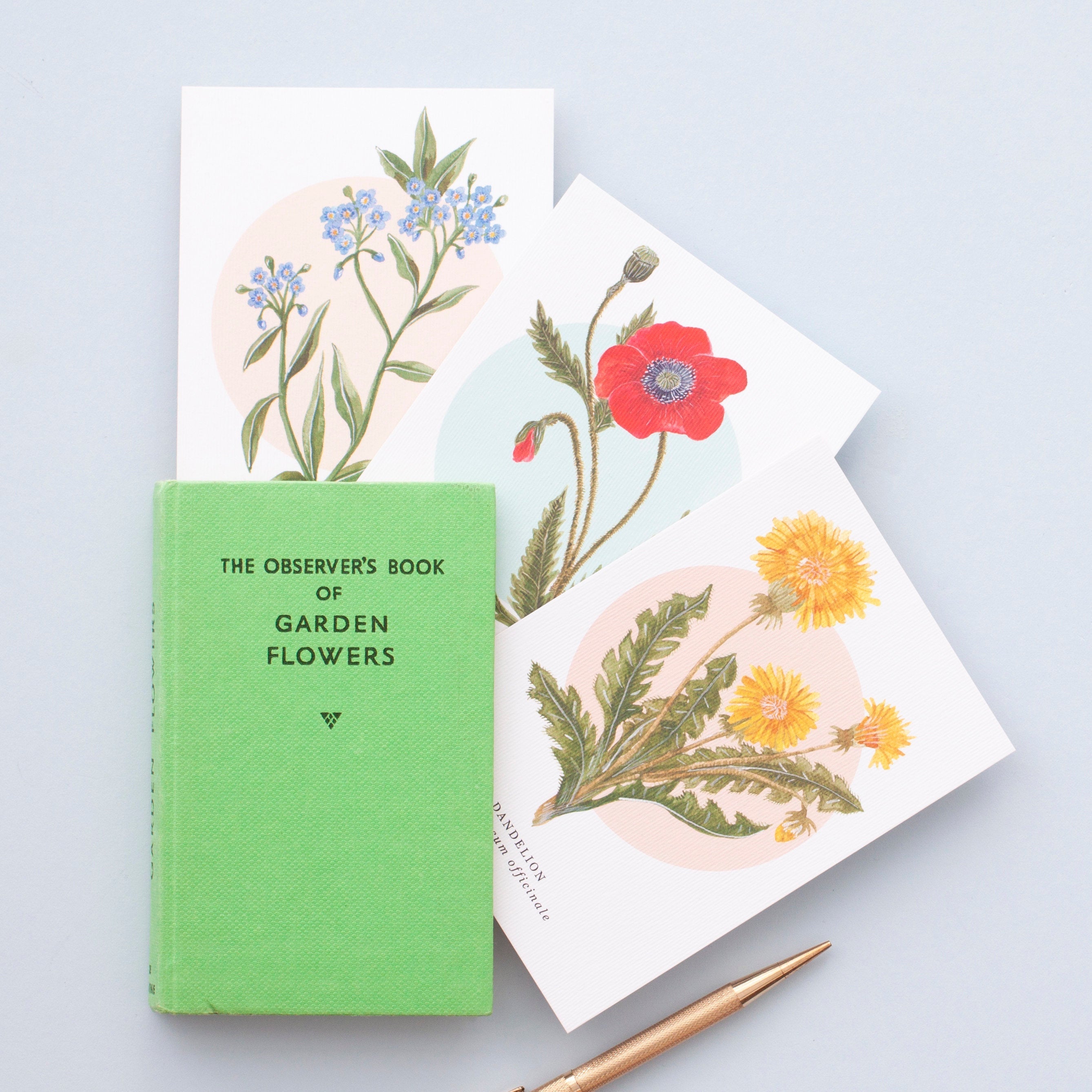 British Wild Flower Notelets - Pack of 8 – Little Paisley Designs